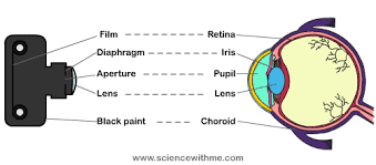 Science hubs & hub Sciences: APS-C and full frame conversion and ...