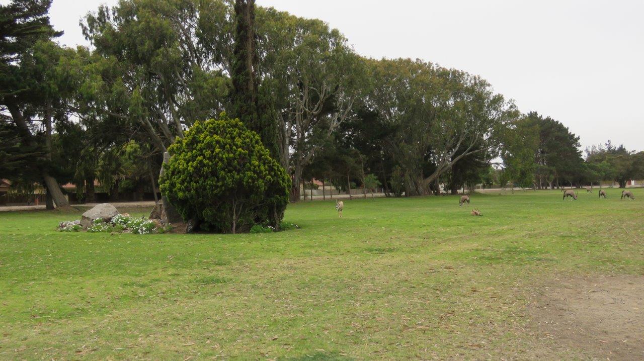 Southern Africa's Ramsar Sites: Orange River Mouth - SA and Namibia