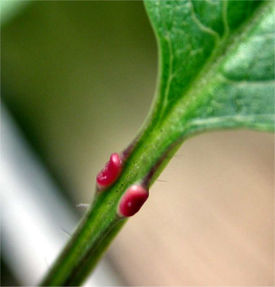 BIOLOGÍA Y GEOLOGÍA: 2016