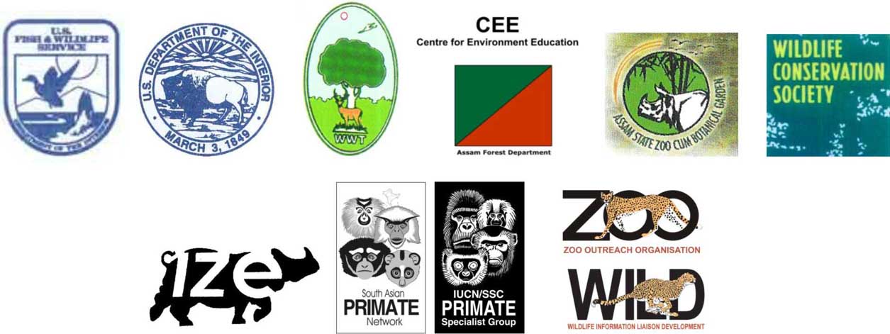 Design Context Year 2: WIldlife Conservation Logos
