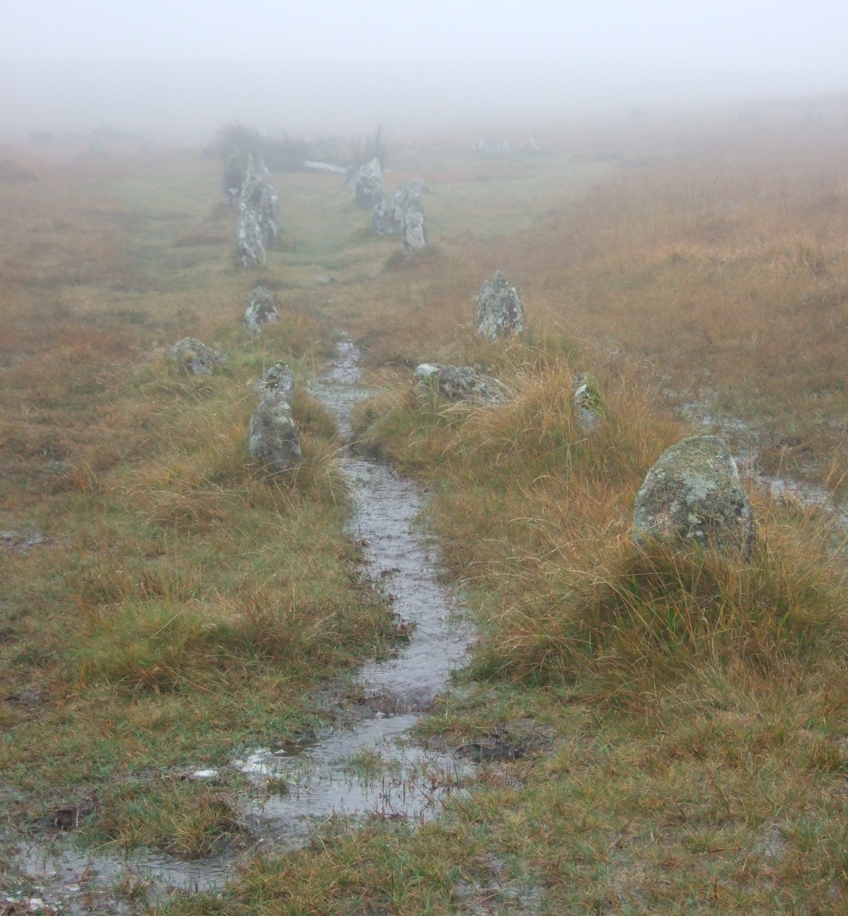 Dartmoor Ramblings: MISTS AND PUDDLES