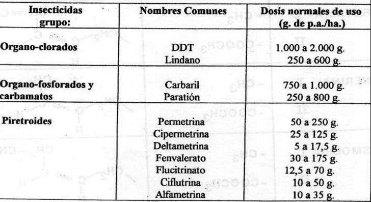 ECOPRACTICA: PIRETRINAS - PIRETROIDES // NICOTINA - NEONICOTENOIDE