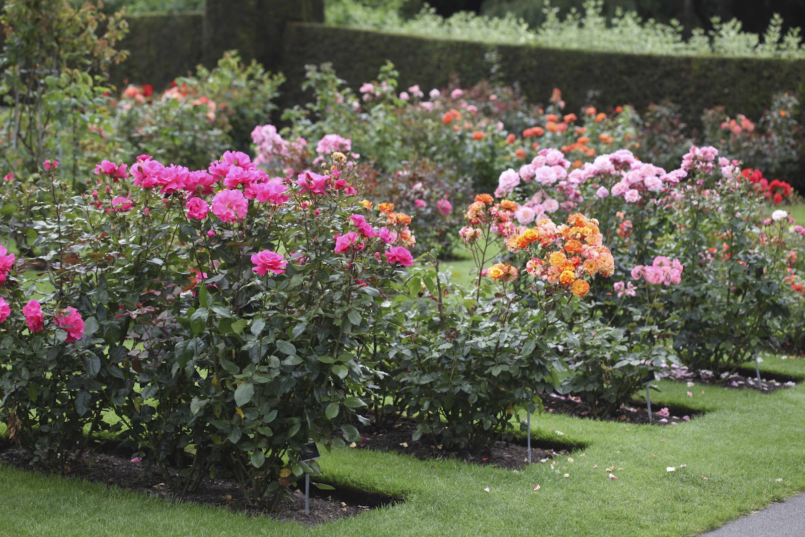 Garden Living: Botanisk hage - Dublin