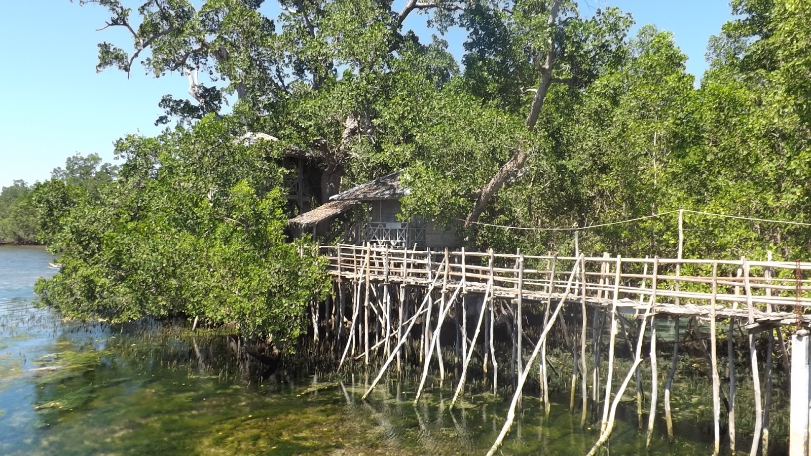SIQUIJOR: Guiwanon Spring Park - Touristang Pobre