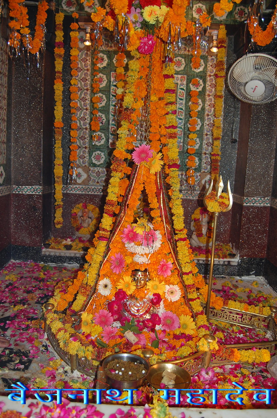 Narsinghgarh Tourism Place: Narsinghgarh City History