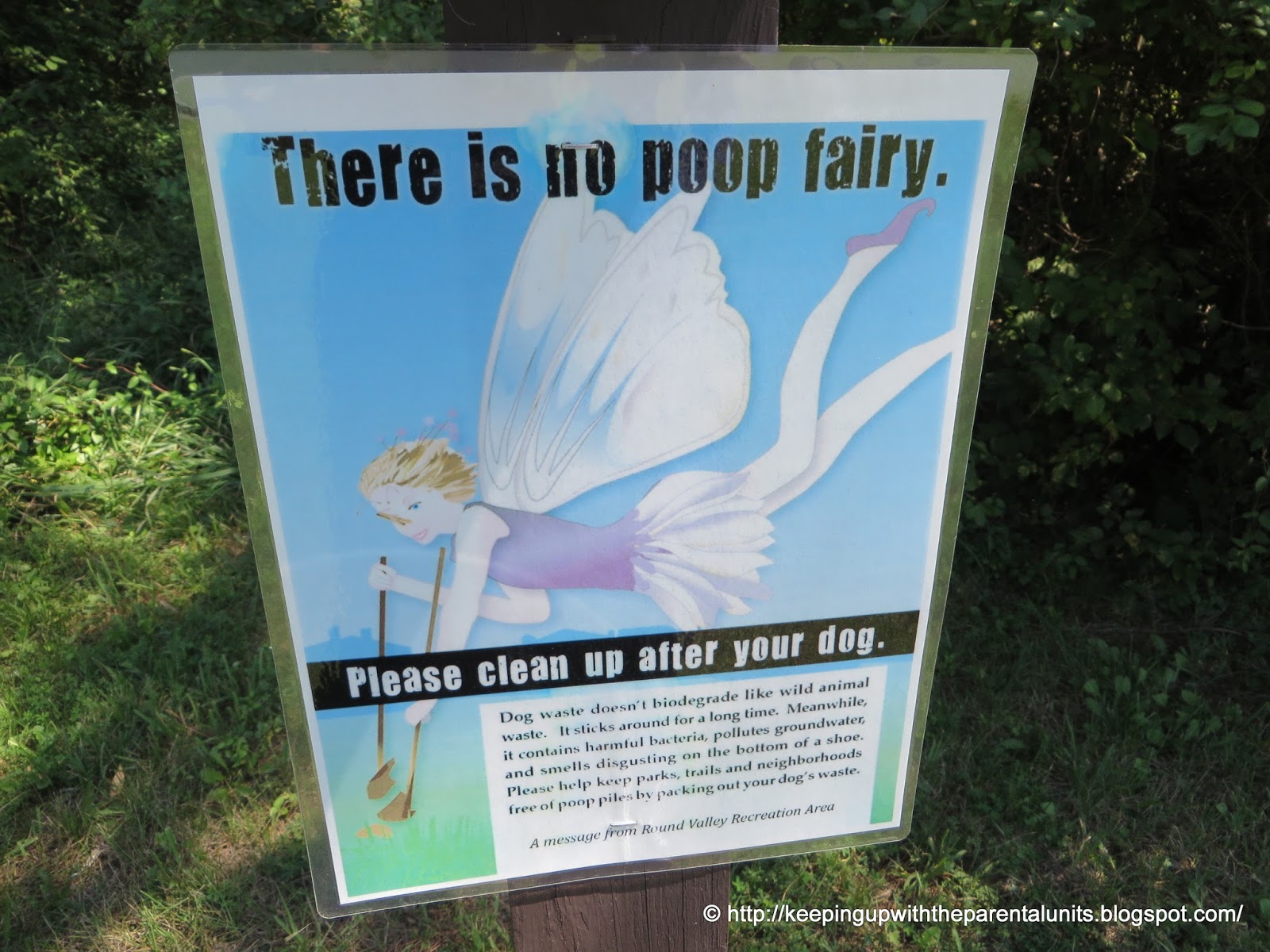 Keeping Up With The Parental Units: The Poop Fairy