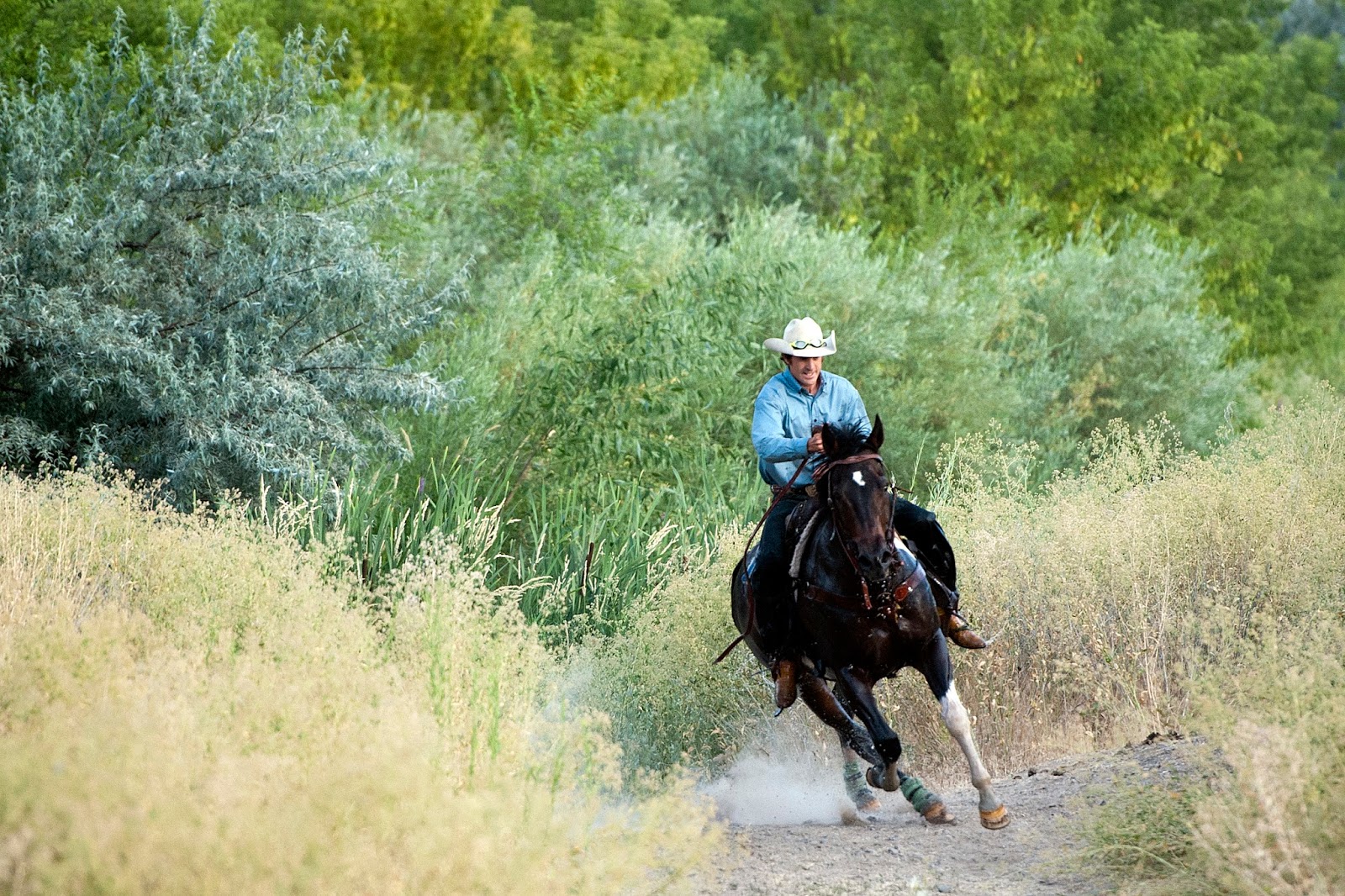 no bupkis: Buckin' good time at the Vale 4th of July Rodeo