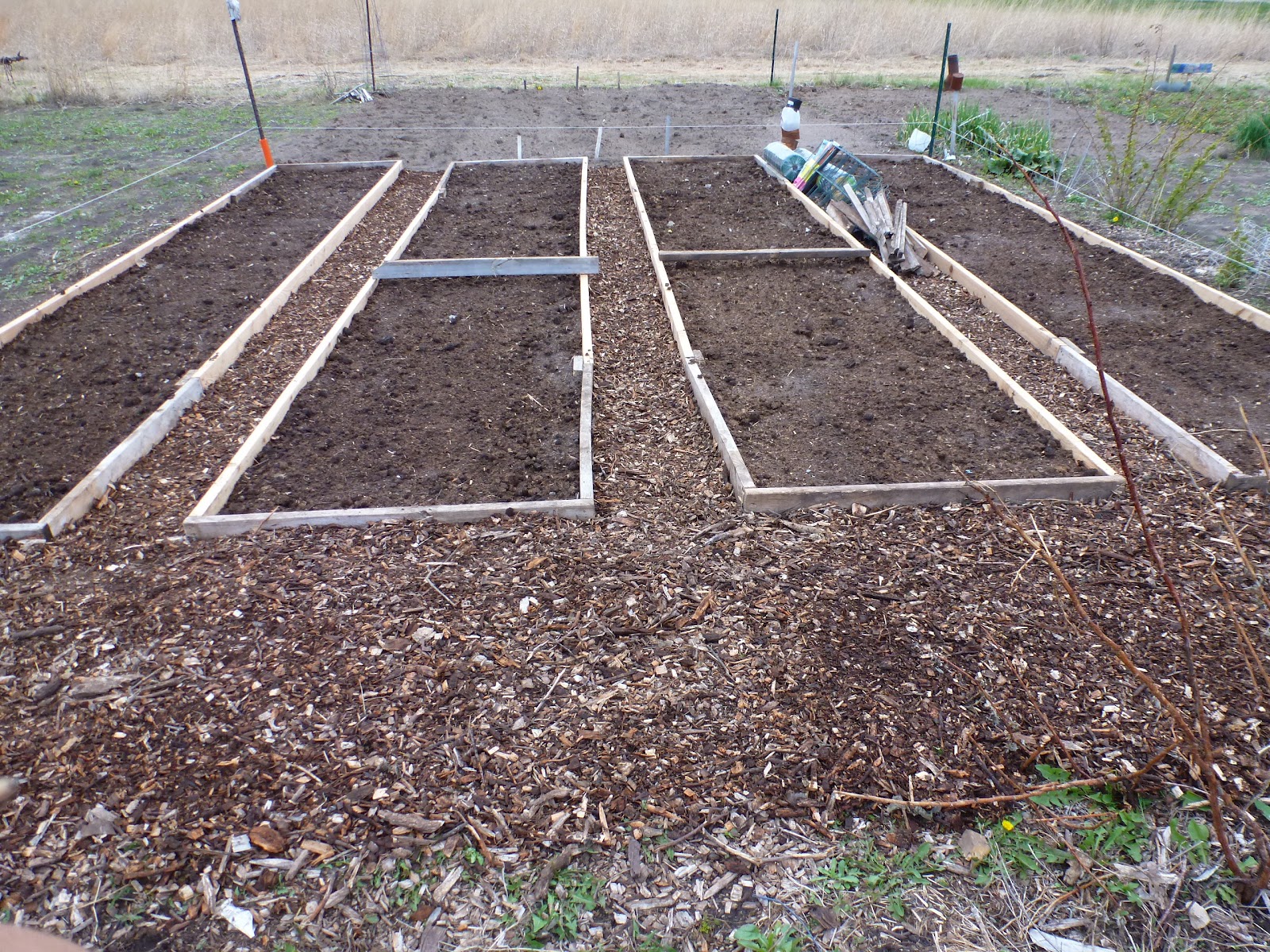 Anita's Health Blog: Garden Plot