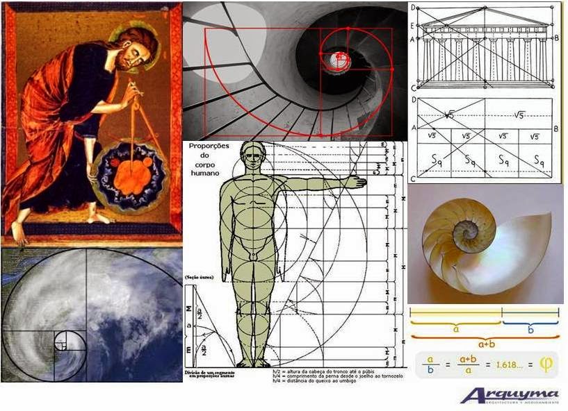 Arquyma: LA PROPORCIÓN. BELLEZA OBJETIVA