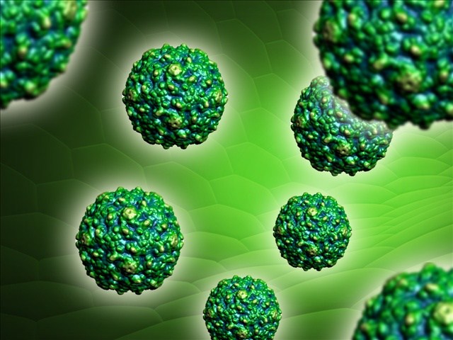 EL "ENTEROVIRUS" ENTRA EN LA UCI