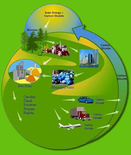 Jenis-Jenis Biofuel yang di kembangkan menjadadi Bahan Bakar ...