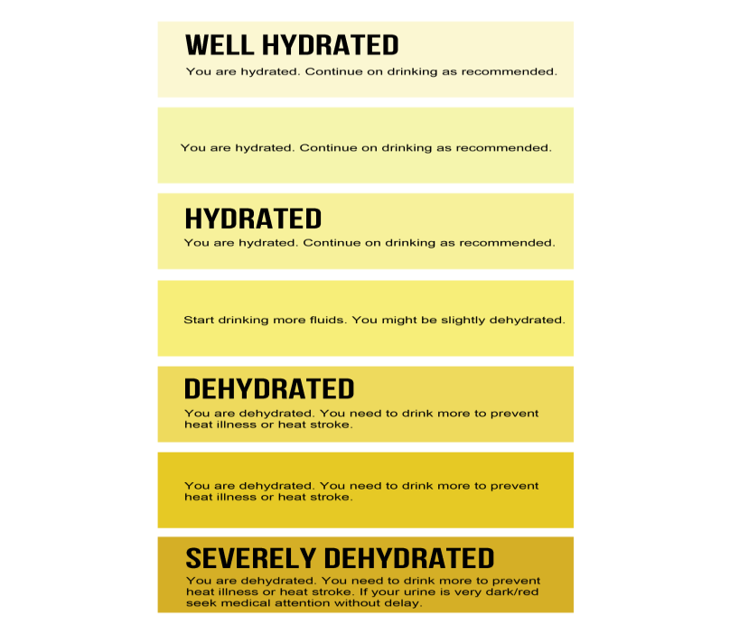 Staying Hydrated This Summer in 5 Easy Steps | Nutrition Facts