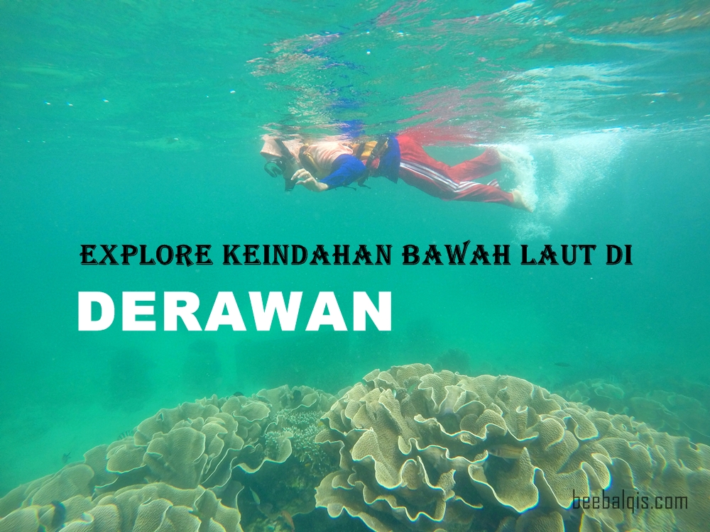 Kumpulan 9 Gambar Hewan Rengit Terbaru