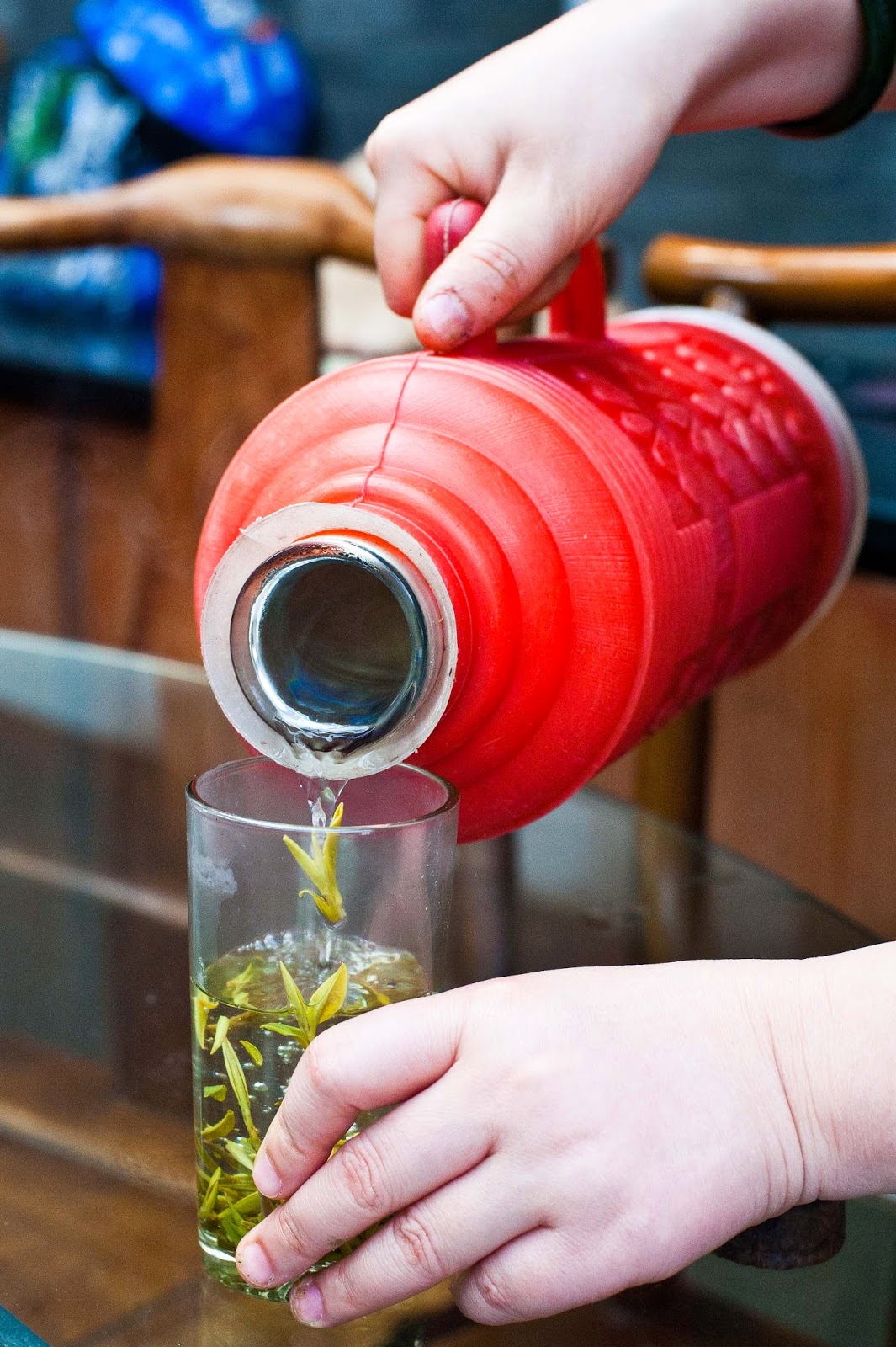 Life on Nanchang Lu: A Beginner's Guide to Green Tea