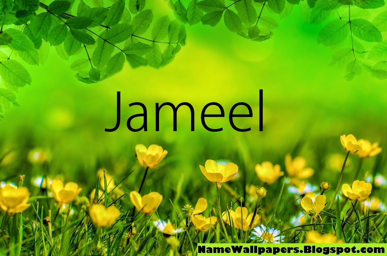 Jameel Name Wallpapers Jameel ~ Name Wallpaper Urdu Name Meaning Name ...