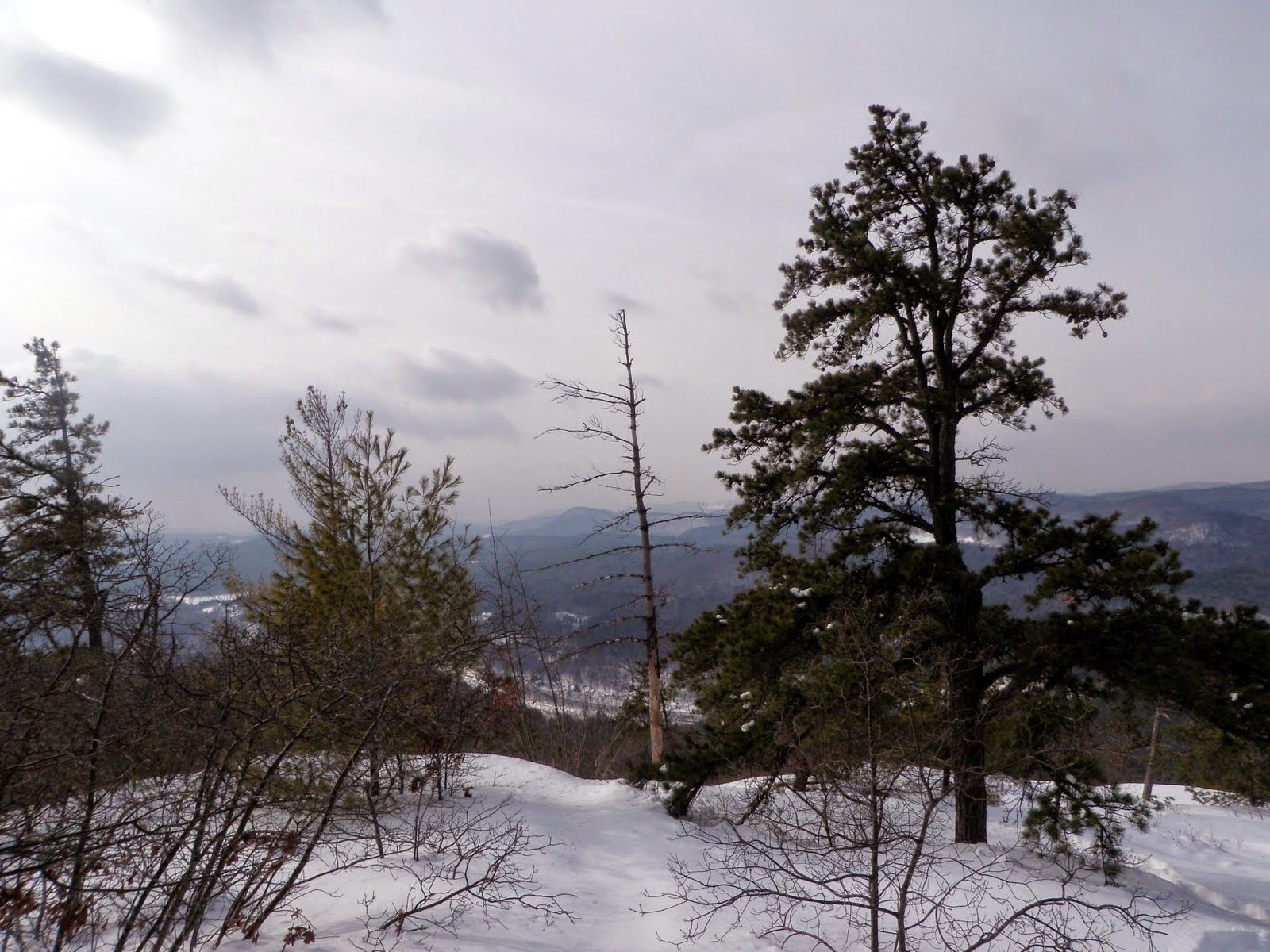 An Idiots Guide to Peakpagging and Hiking in New England: Black ...