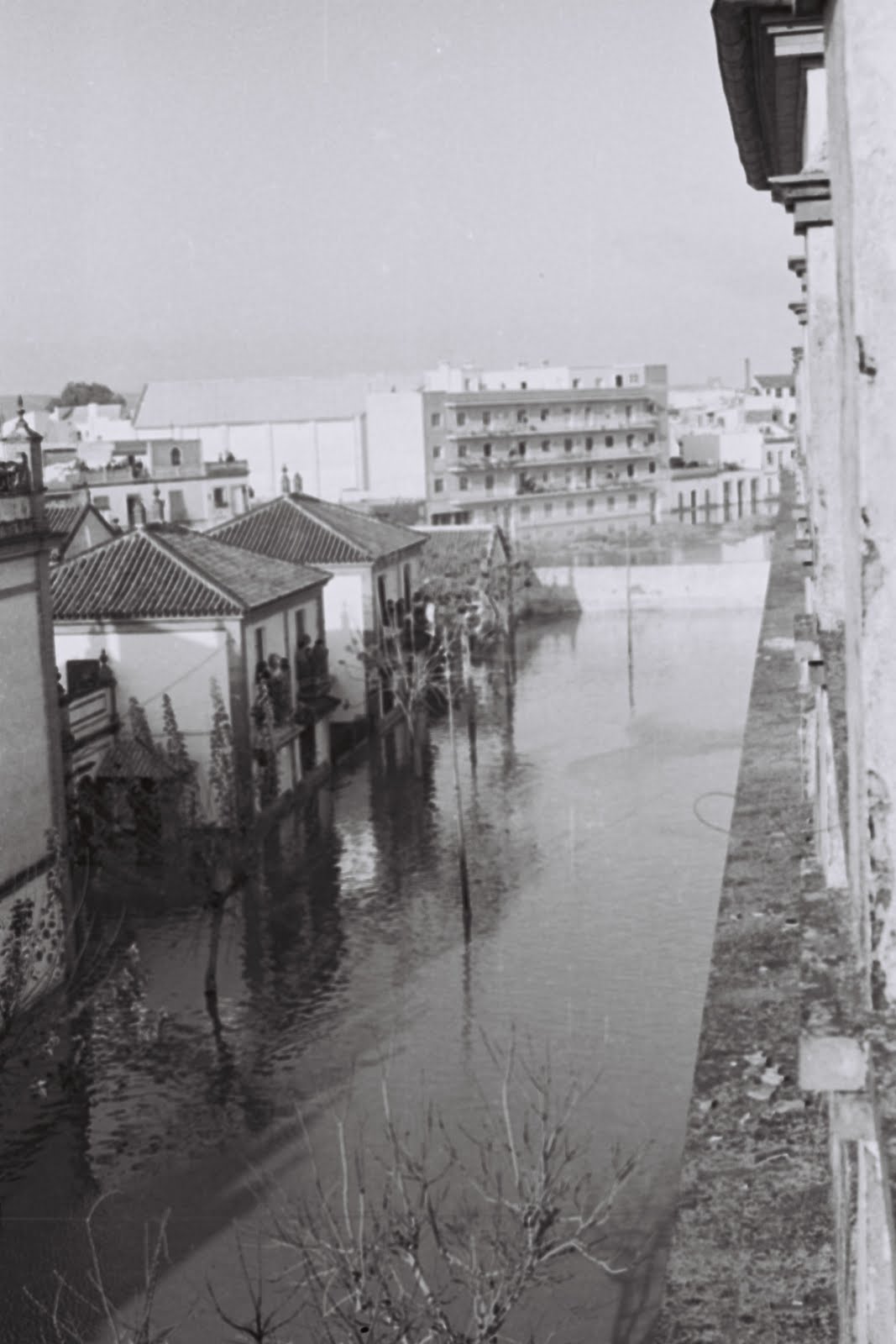 .ALFONSO ORCE: FOTOS INÉDITAS DE EMILIO FALCÓN ,SEVILLA 1961: LA RIADA ...