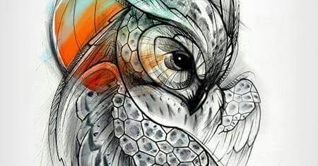 Amazing Owl Drawing - Art Collection