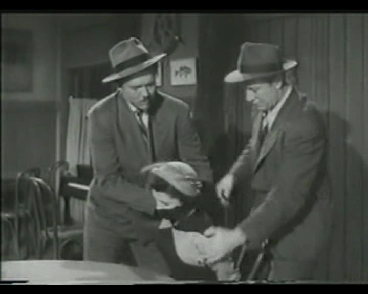 Desolation Angel's Damsels in Distress: Batman and Robin (1949) - Chapter 5