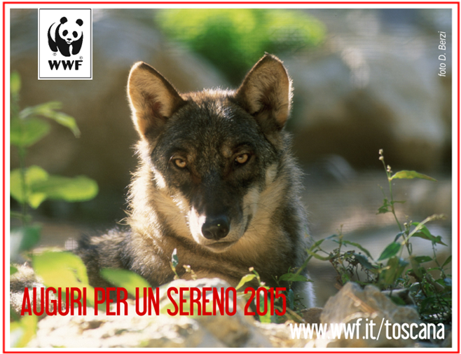 WWF Alta Toscana : AUGURI PER UN SERENO 2015 DAL WWF TOSCANA