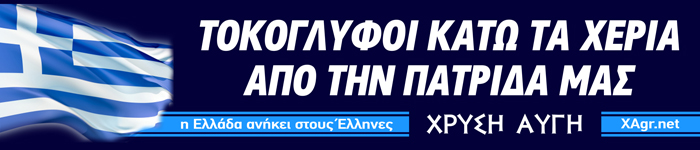 ΧΡΥΣΗ ΑΥΓΗ -TOΠIKH ΟΡΓΑΝΩΣΗ ΑΘΗΝΩΝ: ΟΙ ΘΕΣΕΙΣ ΜΑΣ