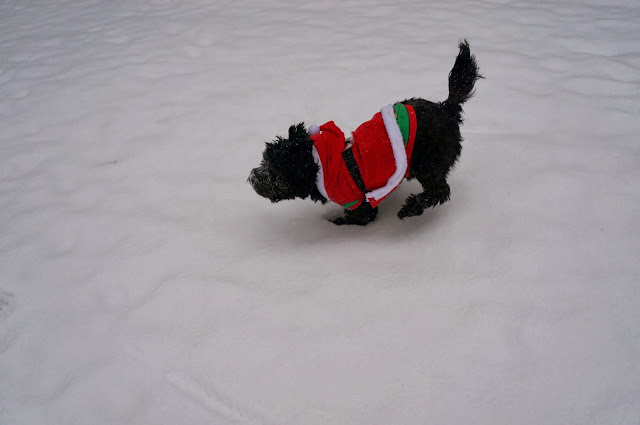 George Michael Snow Day