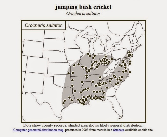 Listening in Nature: Jumping Beyond the Range Map