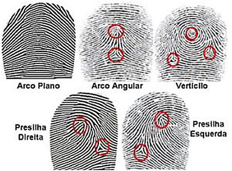 Investigação Criminal: Dactiloscopia - A arte por detrás das Impressões ...