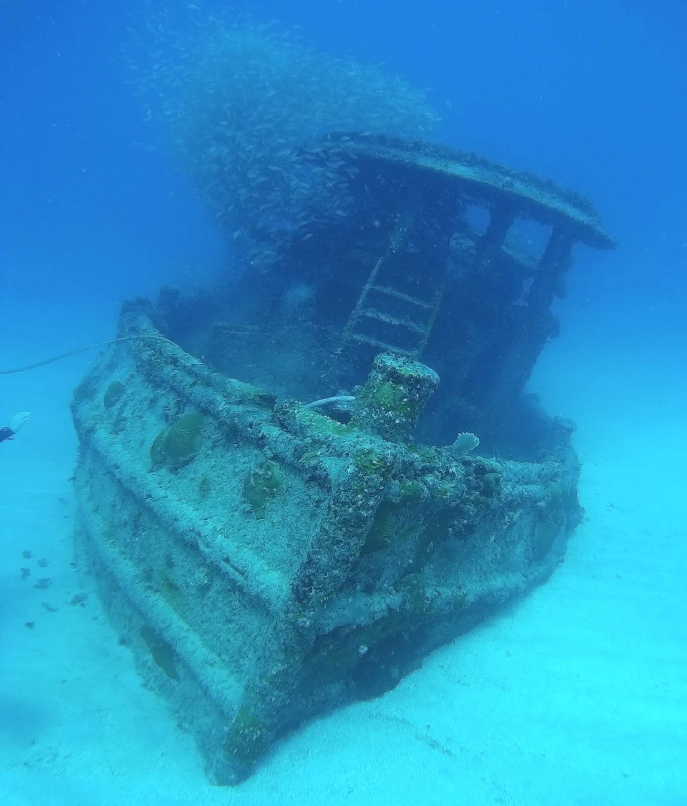 Exploring the World in 'Blue Velvet of Sark': Ile Tintamarre St Martin