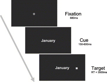 Psych Your Mind: Time, Space, and Synesthesia