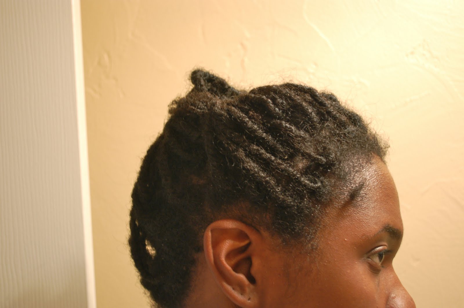 Sofull Sista: New Beginnings with Locs