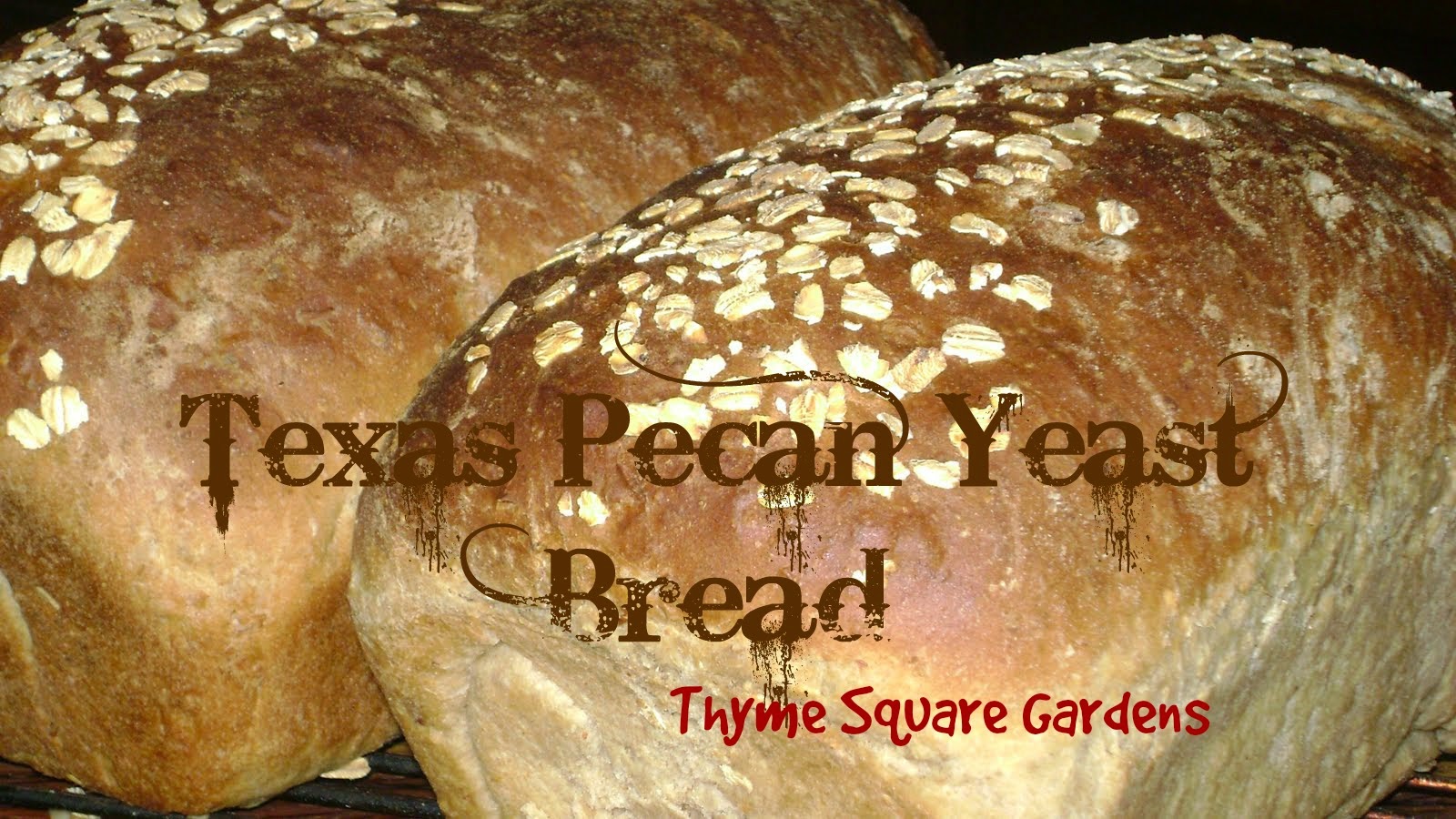 TSG: Texas Pecan Yeast Bread