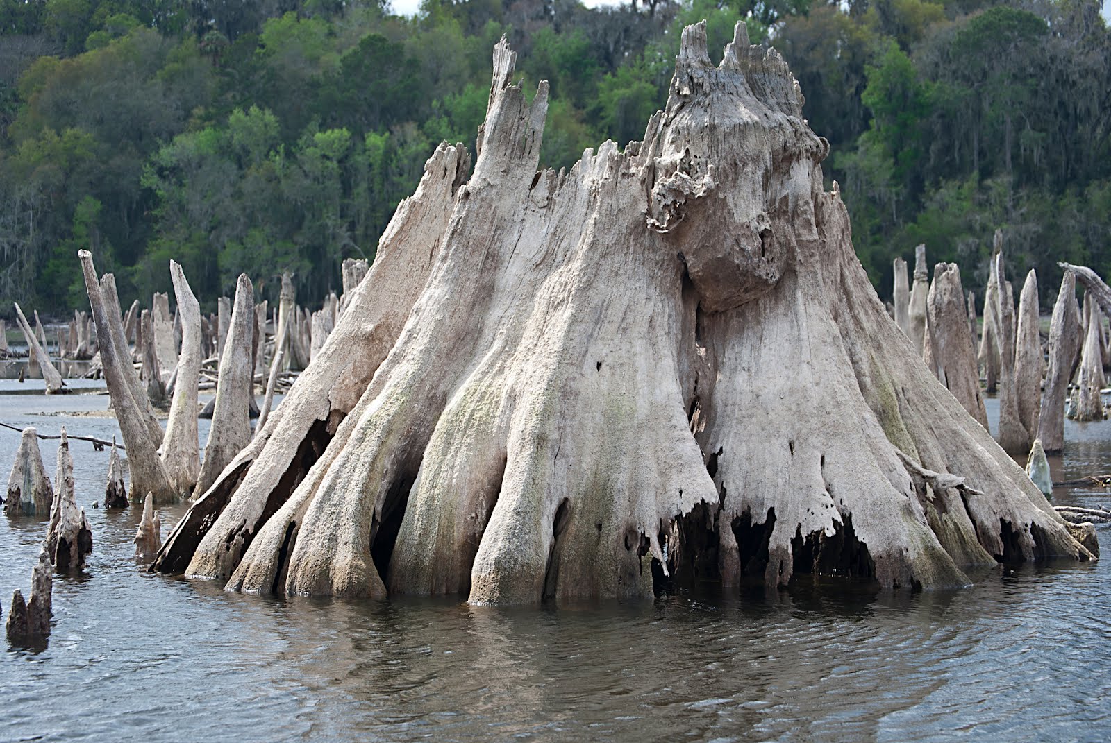 Old Florida: Holy water, sacred ground