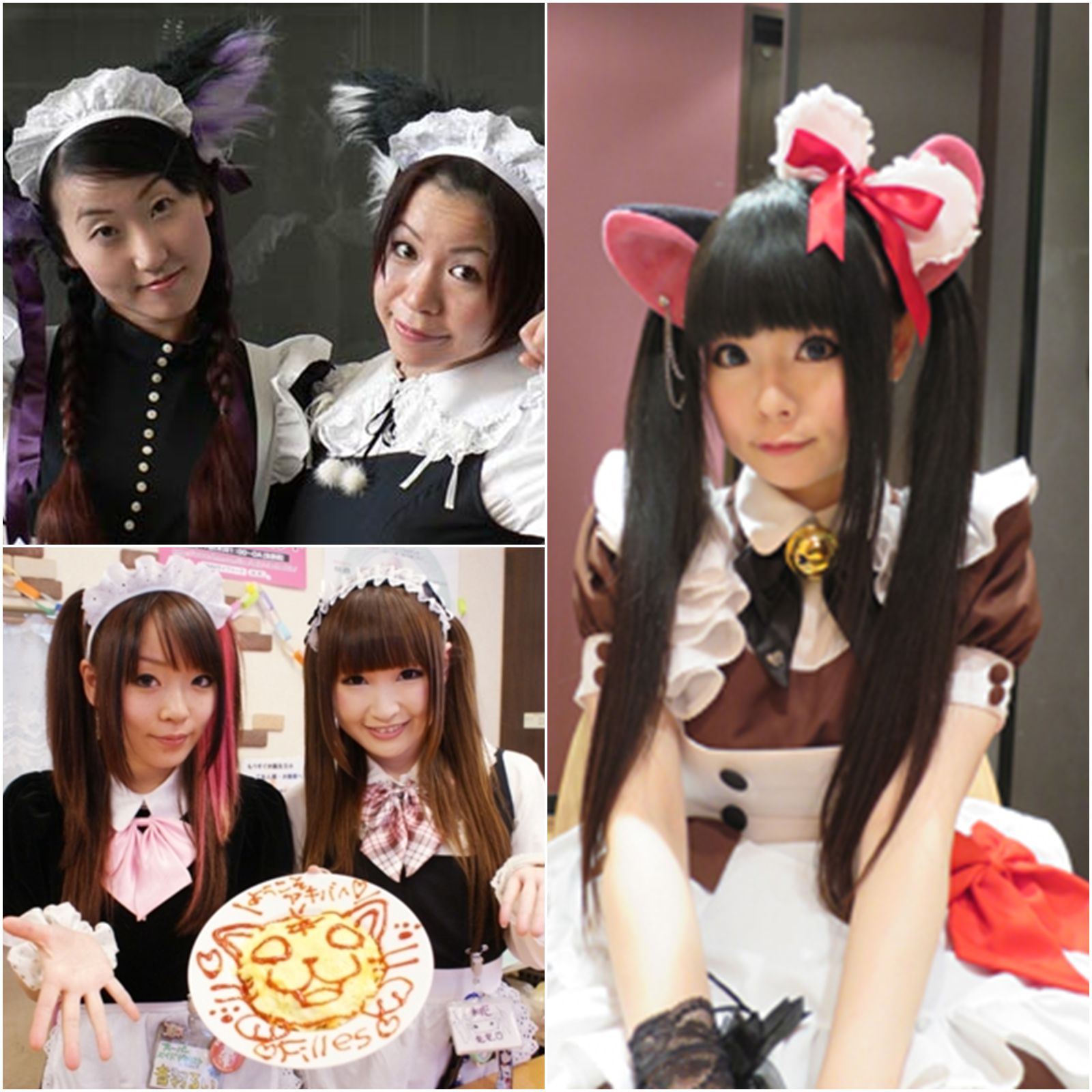 Maru Sama Cultura Pop: Curiosidades: Maid Café, Butler Café e o novo ...