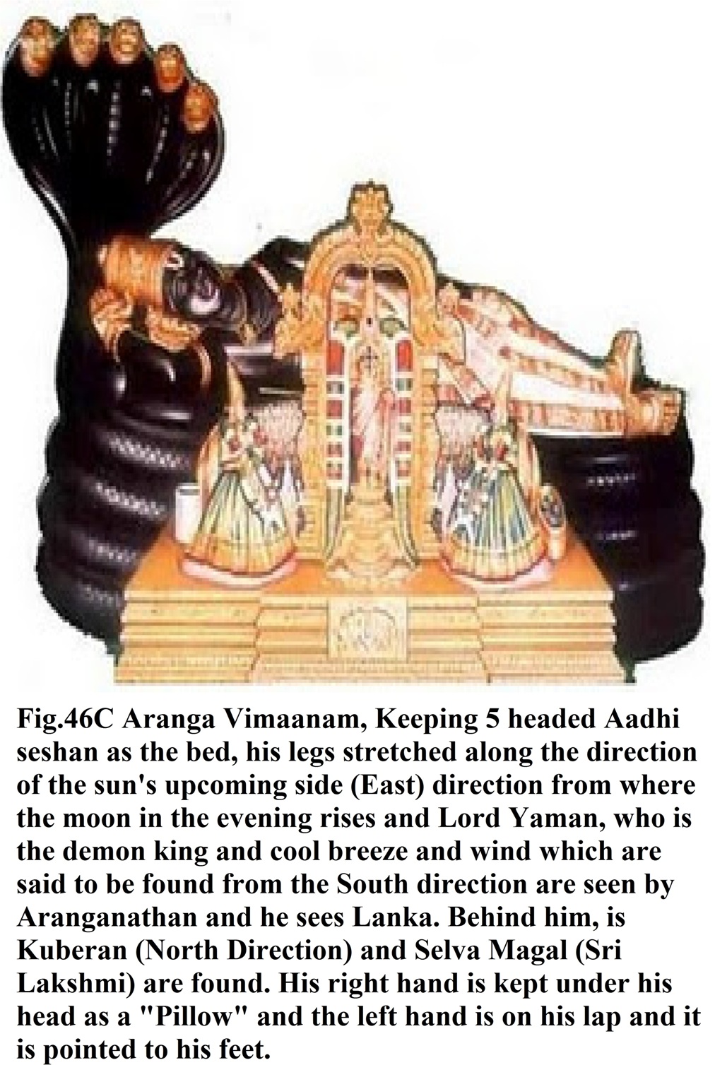 TRU_SCIENCE & TRU_TECHNOLOGY: INTELLECT INDIA [Part C] by Professor Dr ...