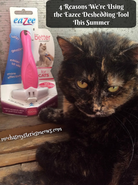 Melissa's Mochas, Mysteries and Meows: 4 Reasons We're Using the Eazee ...