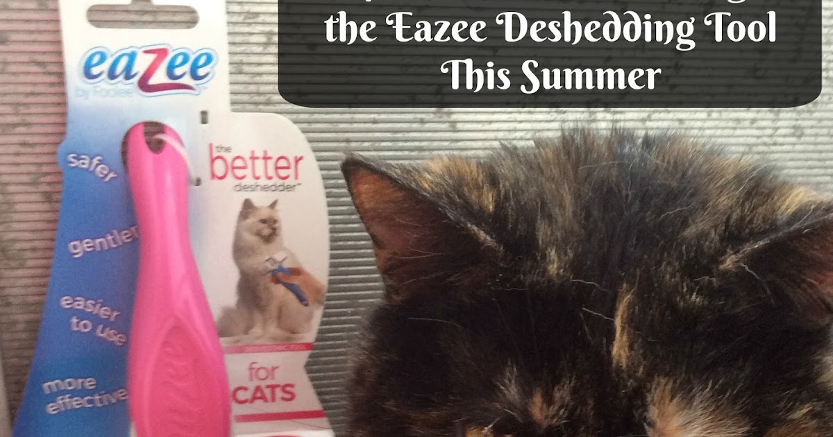 Melissa's Mochas, Mysteries and Meows: 4 Reasons We're Using the Eazee ...