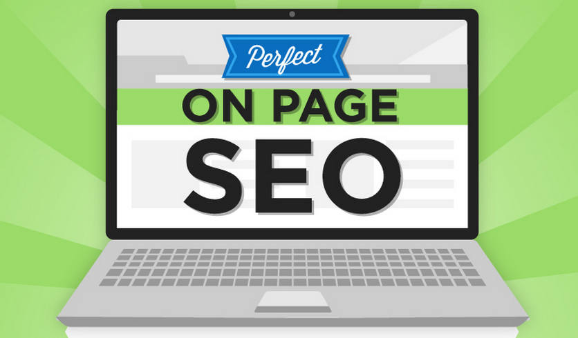 On-Page SEO: Anatomy of a Perfectly Optimized Page | Infographic Daily On-Page SEO: Anatomy of a Perfectly Optimized Page | Infographic Daily
