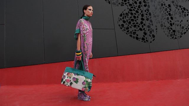 Mostrar 5 Mostrar todo