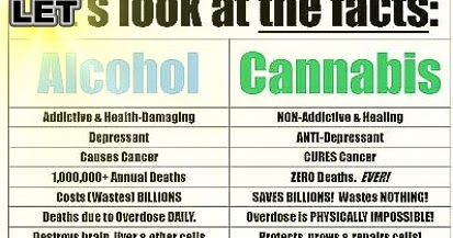 Harm Reduction for Alcohol
