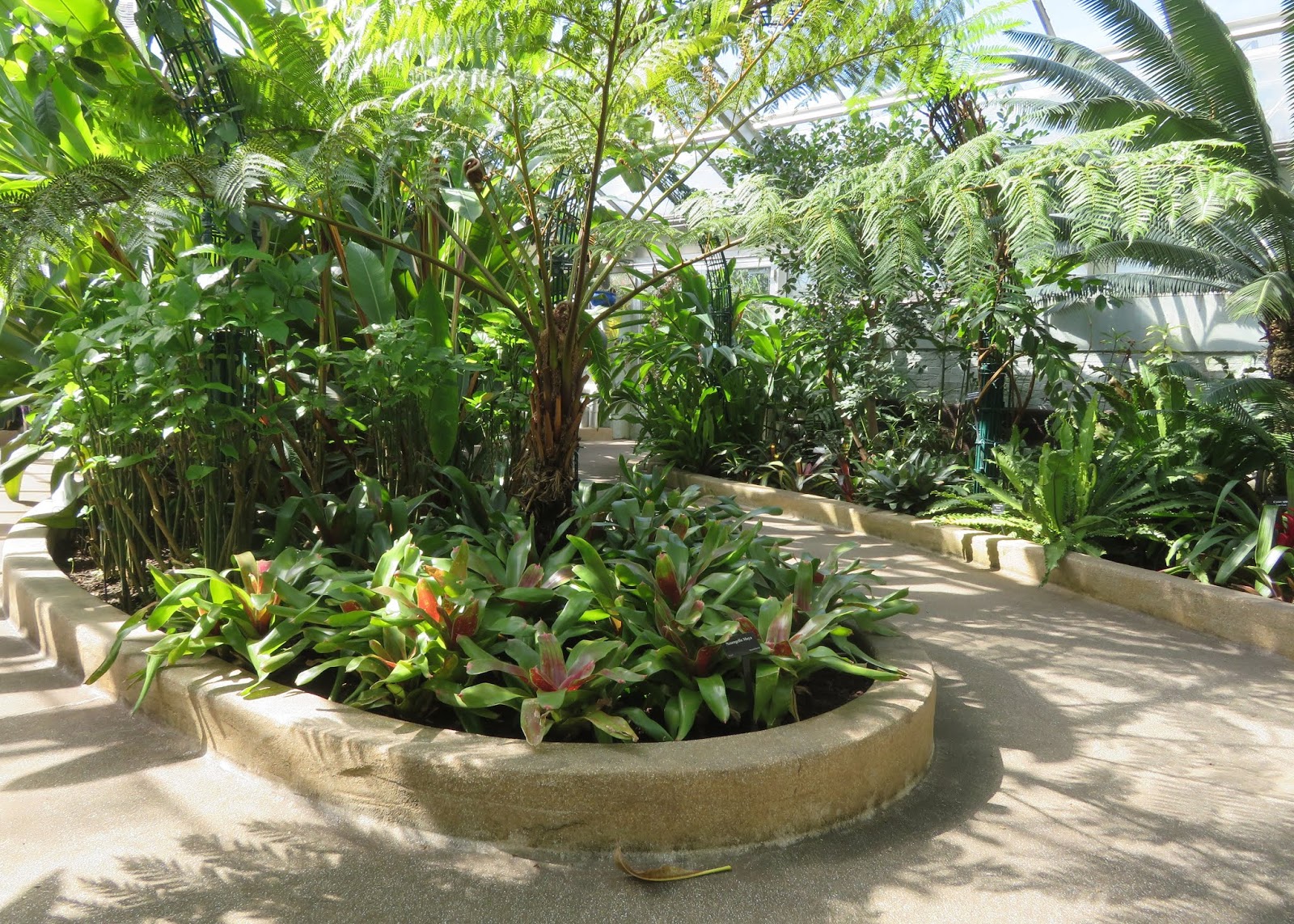 Randuwa II: Rawling's Conservatory: Tropical Plants Greenhouse