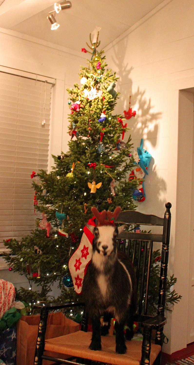 The Grumpy Goat Gallery: Happy Holidays to You!