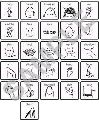 Vocabulary : Parts of Body and Shapes | E-Blog