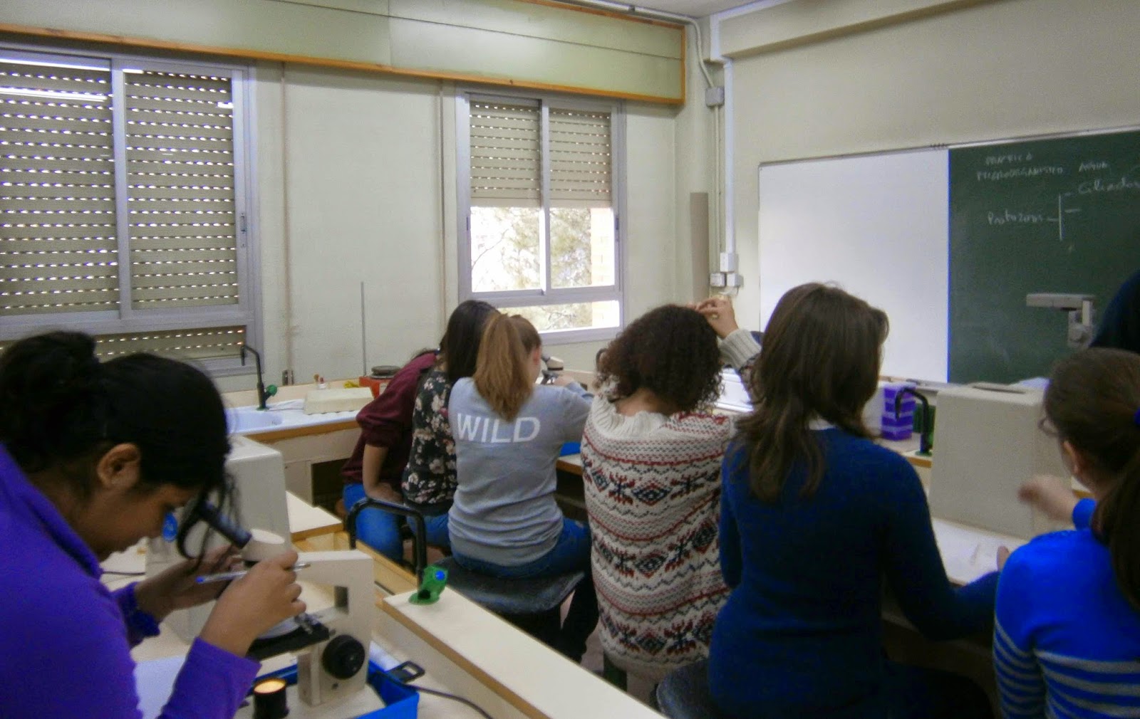 PRÁCTICA OBSERVACIÓN DE INFUSORIOS EN AGUA ENCHARCADA.