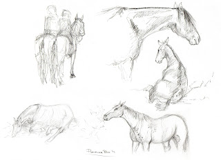 NUBES DE COLORES: LOS BOCETOS