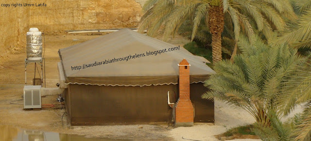 Traditional Tent on Saudi Date Farm | SAUDI ARABIA THROUGH THE LENS