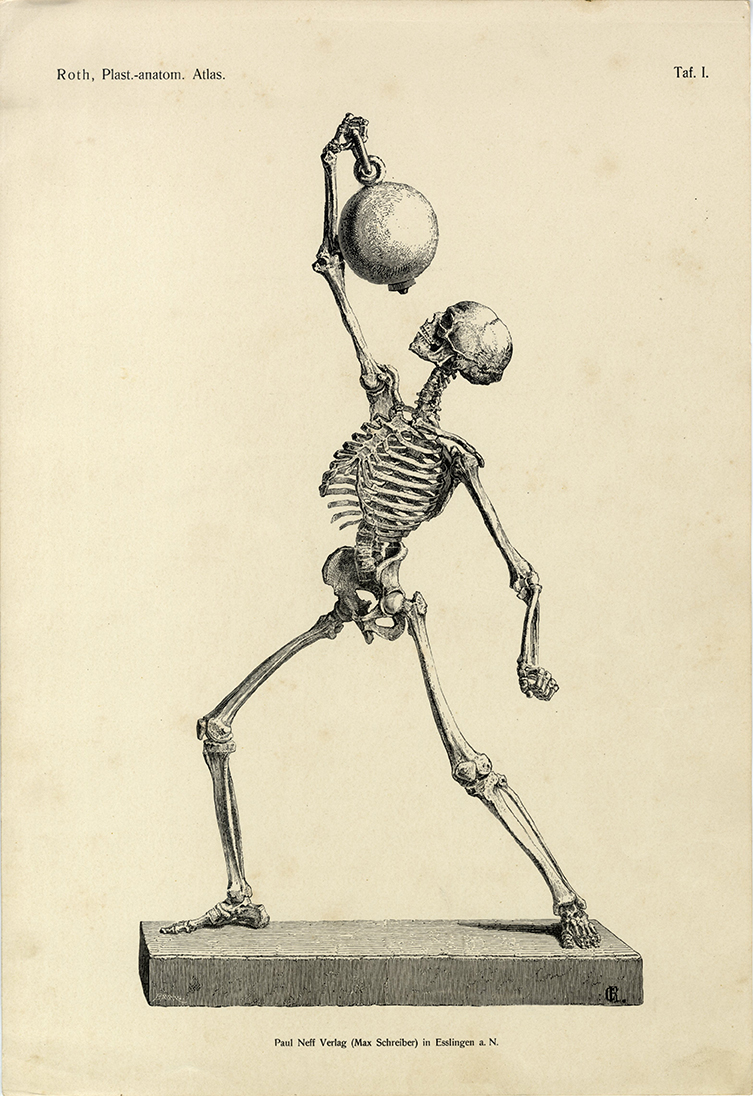 Research of Artistic Anatomy: Christoph Roth “PLASTISCH-ANATOMISCHER ...