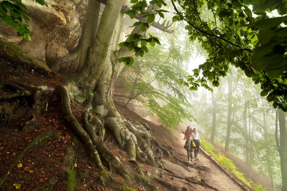 TURISMO: Descubra a Suíça da Boêmia, um paraíso natural na República ...
