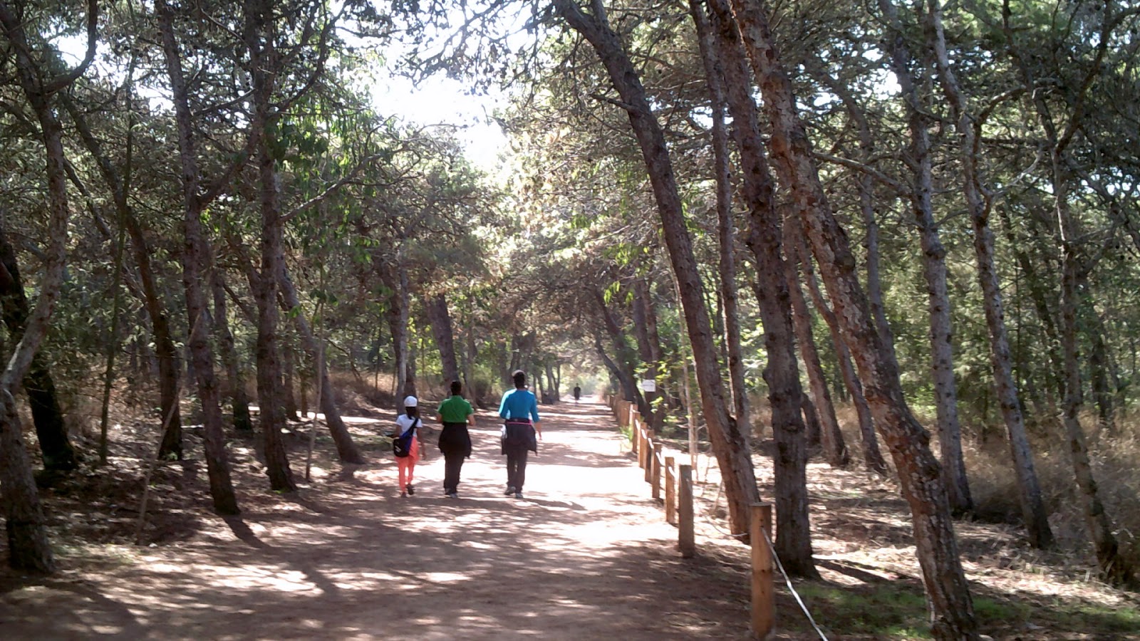 MAROC CORRECT: HARHOURA ET FORET