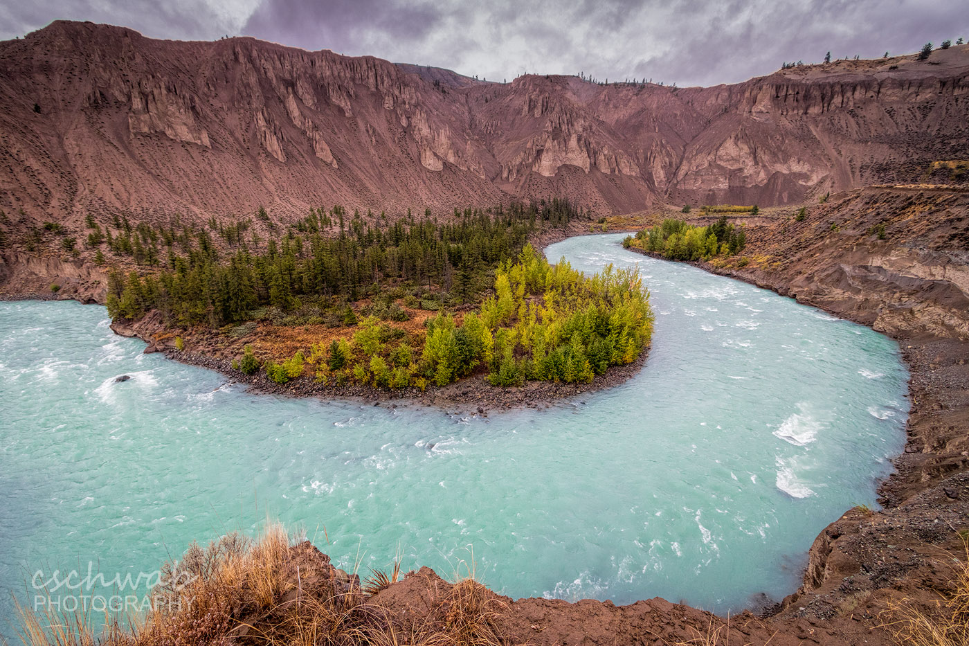 Wetcoast Views: Chilko Lake Grizzlies - September
